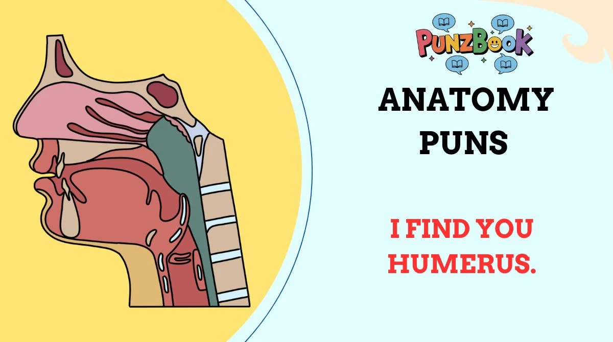 🩻 272+ Anatomy Puns That’ll Crack You Up in 2025 😂🦴 - punzbook.com